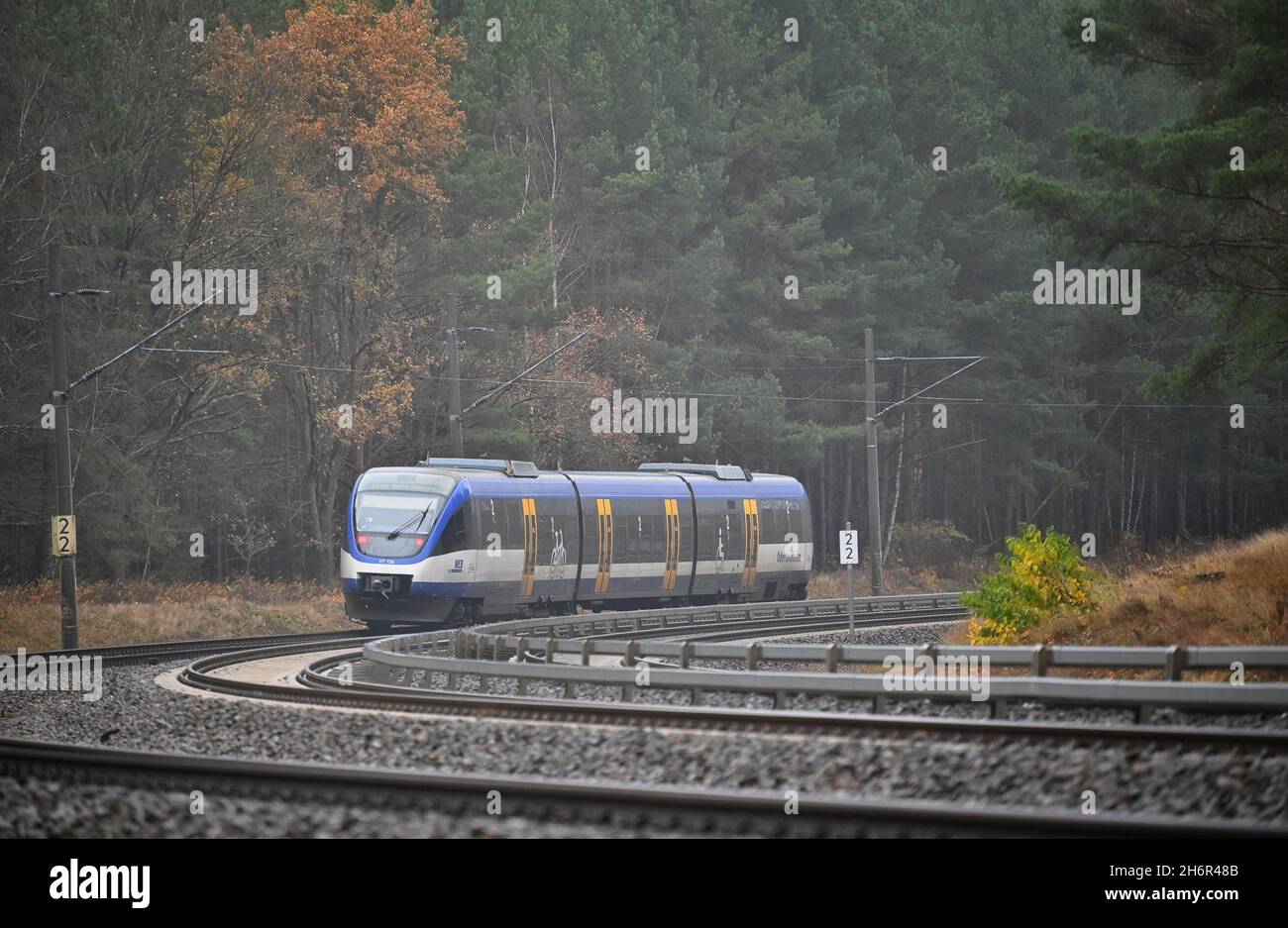 Hohen Neuendorf, Germany. 17th Nov, 2021. A regional train RB 12 of the ...