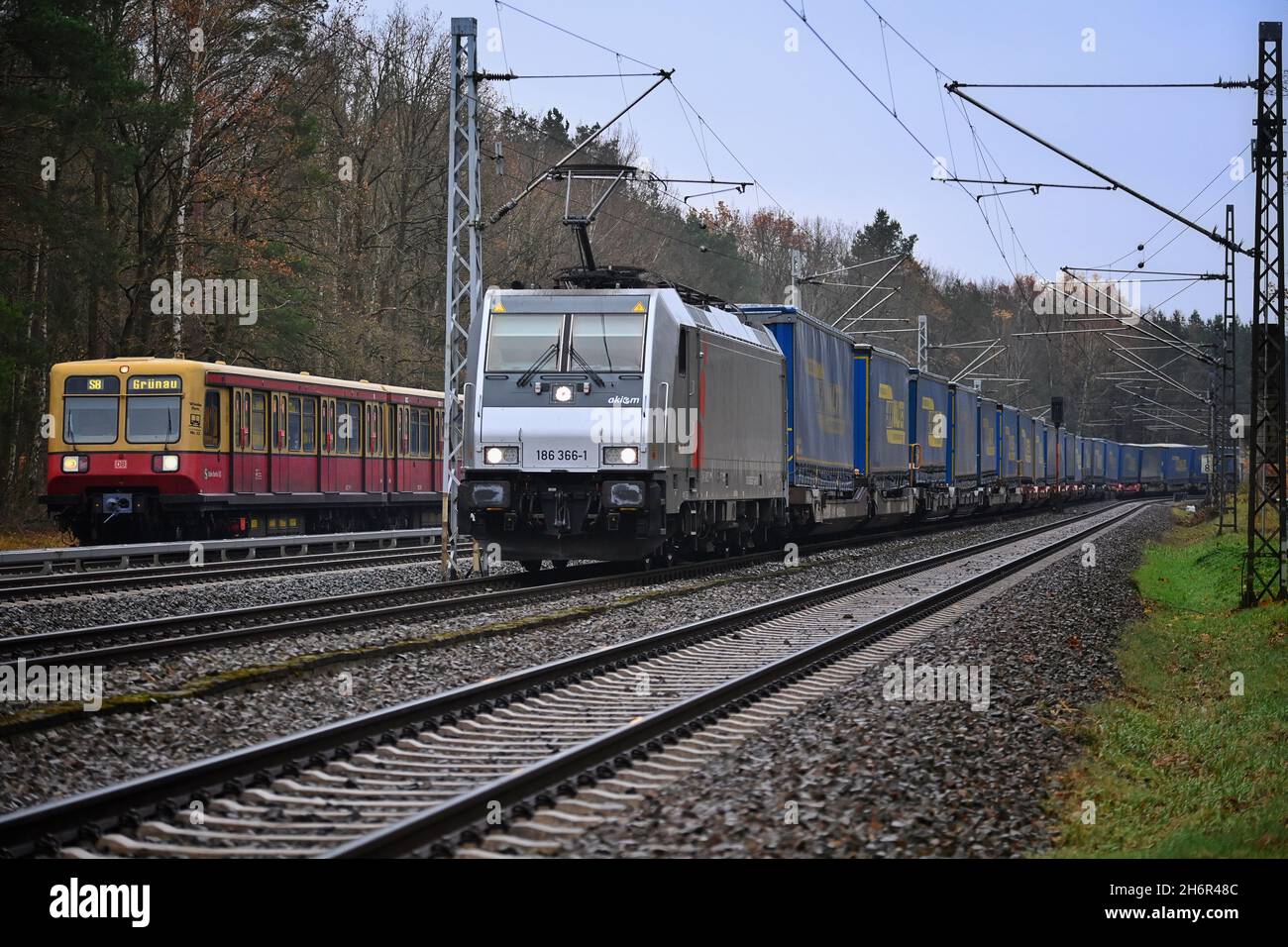 Hohen Neuendorf, Germany. 17th Nov, 2021. A freight train is driving ...