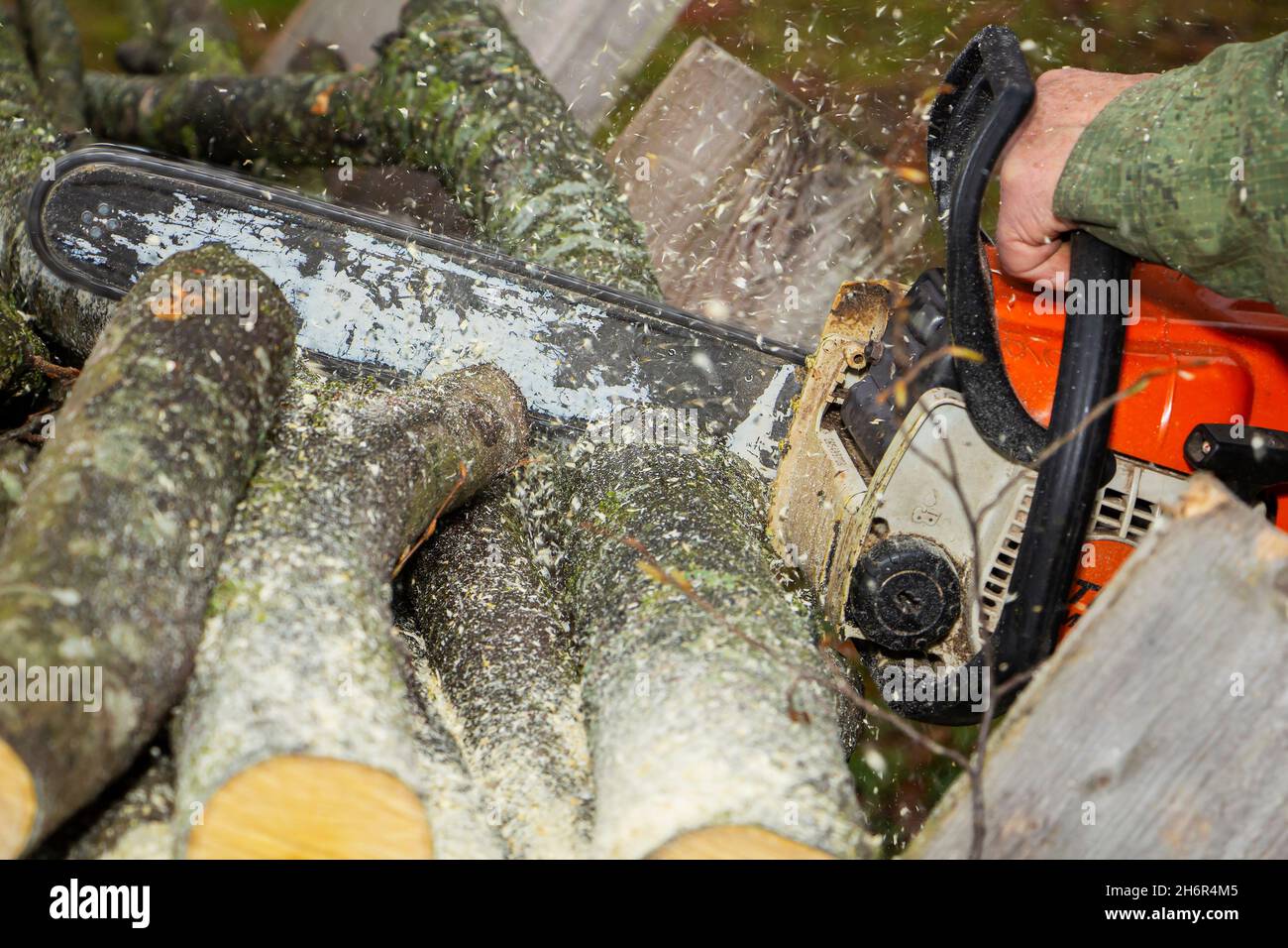 Close-up professional chainsaw blade cutting log of wood Stock Photo ...