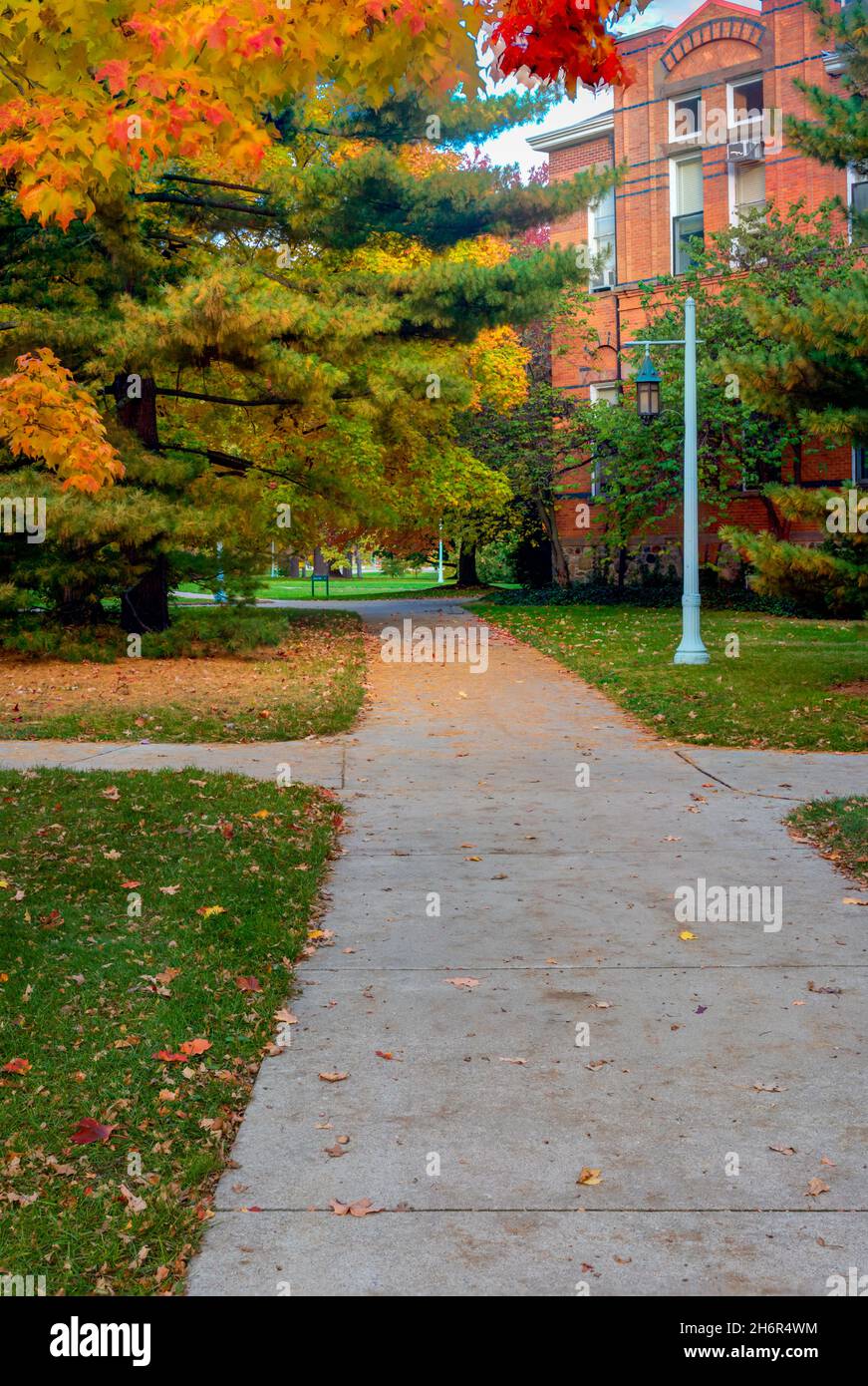 Colorful yellow Fall foliage and antique lamp on College Campus Stock ...