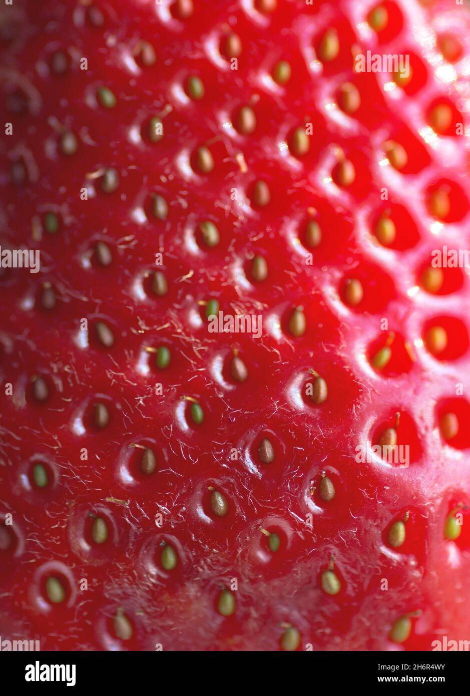 texture background red juicy strawberry macro close-up surface with ...