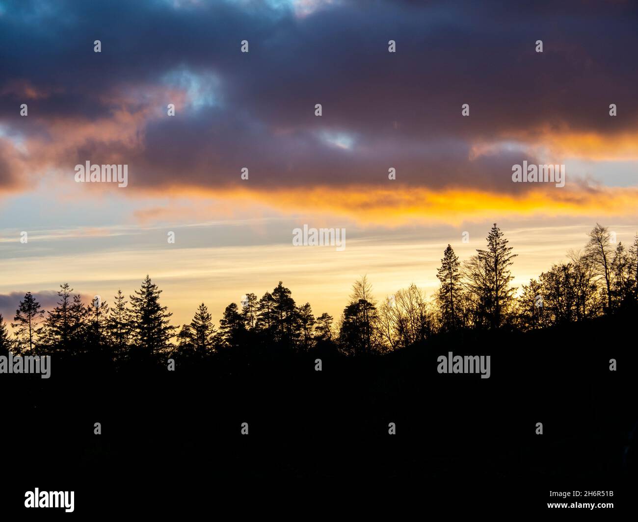 Sunset over trees at Tarn Howes, Lake District, UK Stock Photo - Alamy