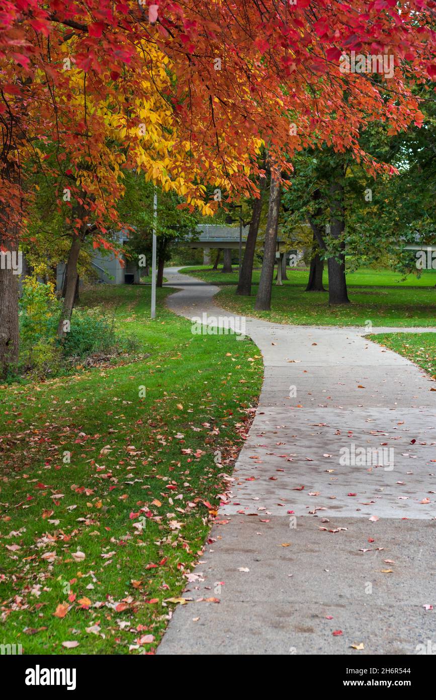 Colorful red Fall foliage on College Campus Stock Photo - Alamy