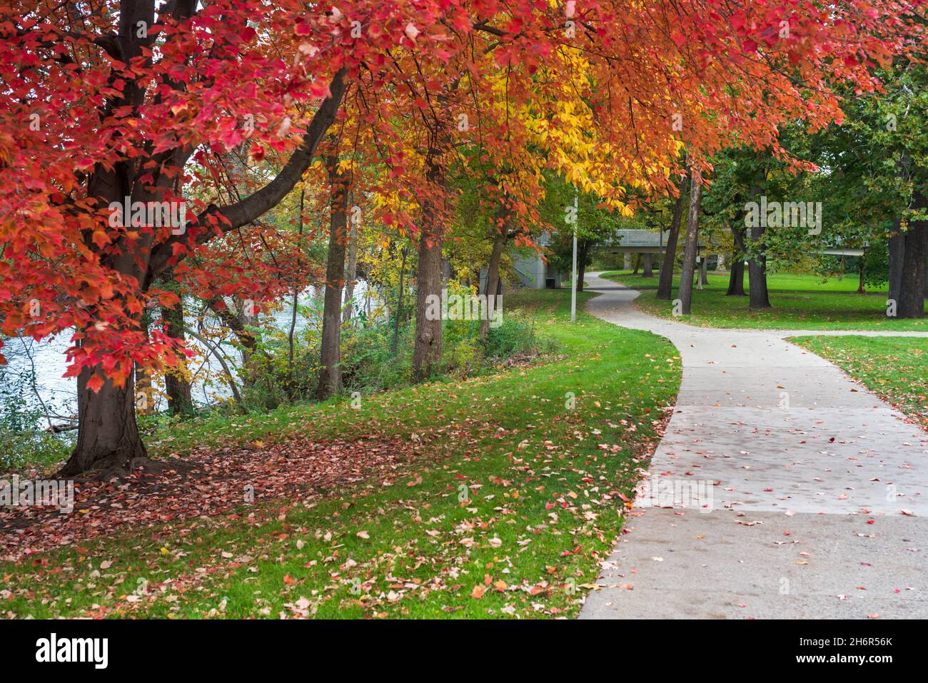 Colorful red Fall foliage on College Campus Stock Photo - Alamy