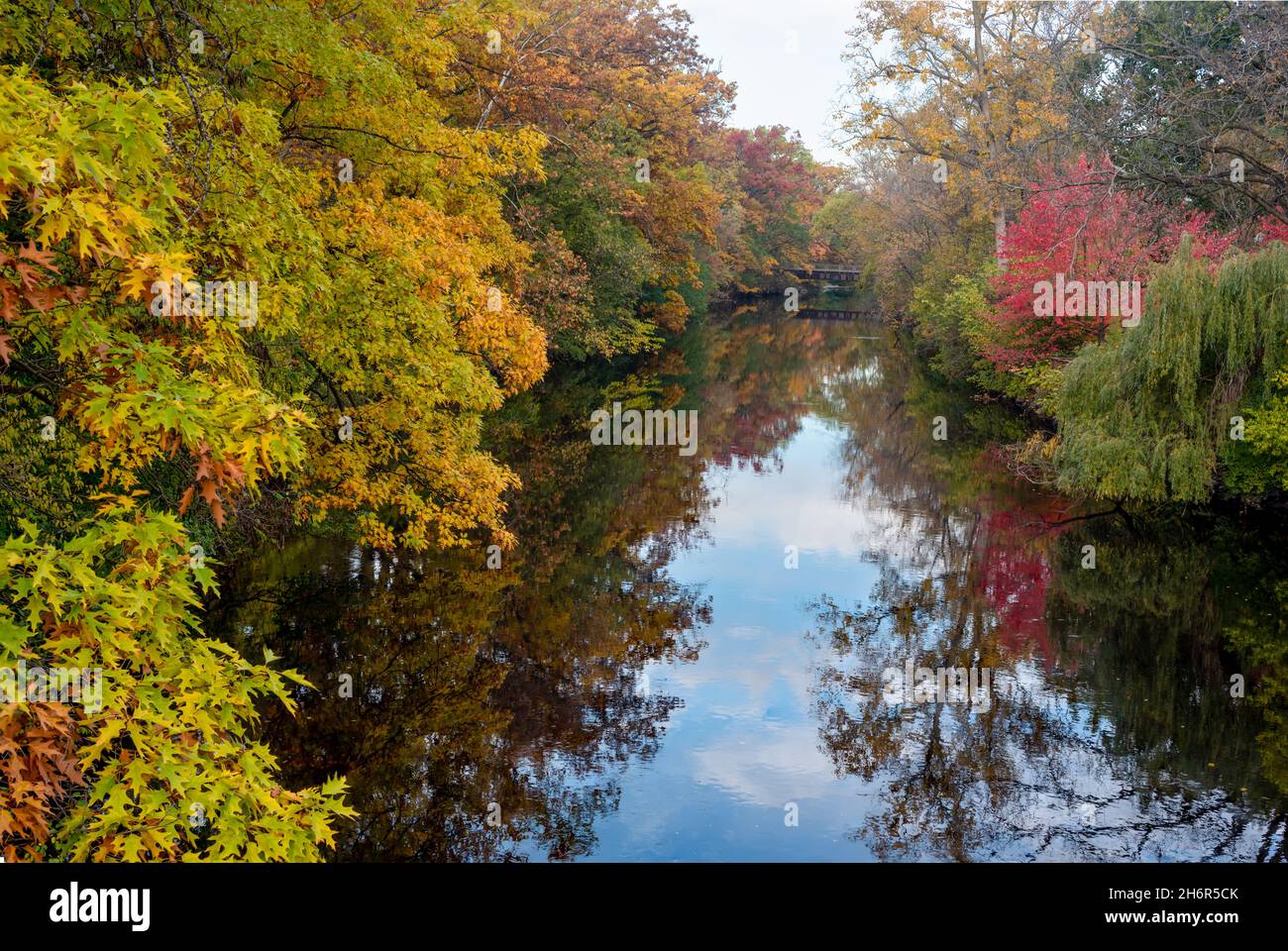 Red cedar river, michigan hi-res stock photography and images - Alamy