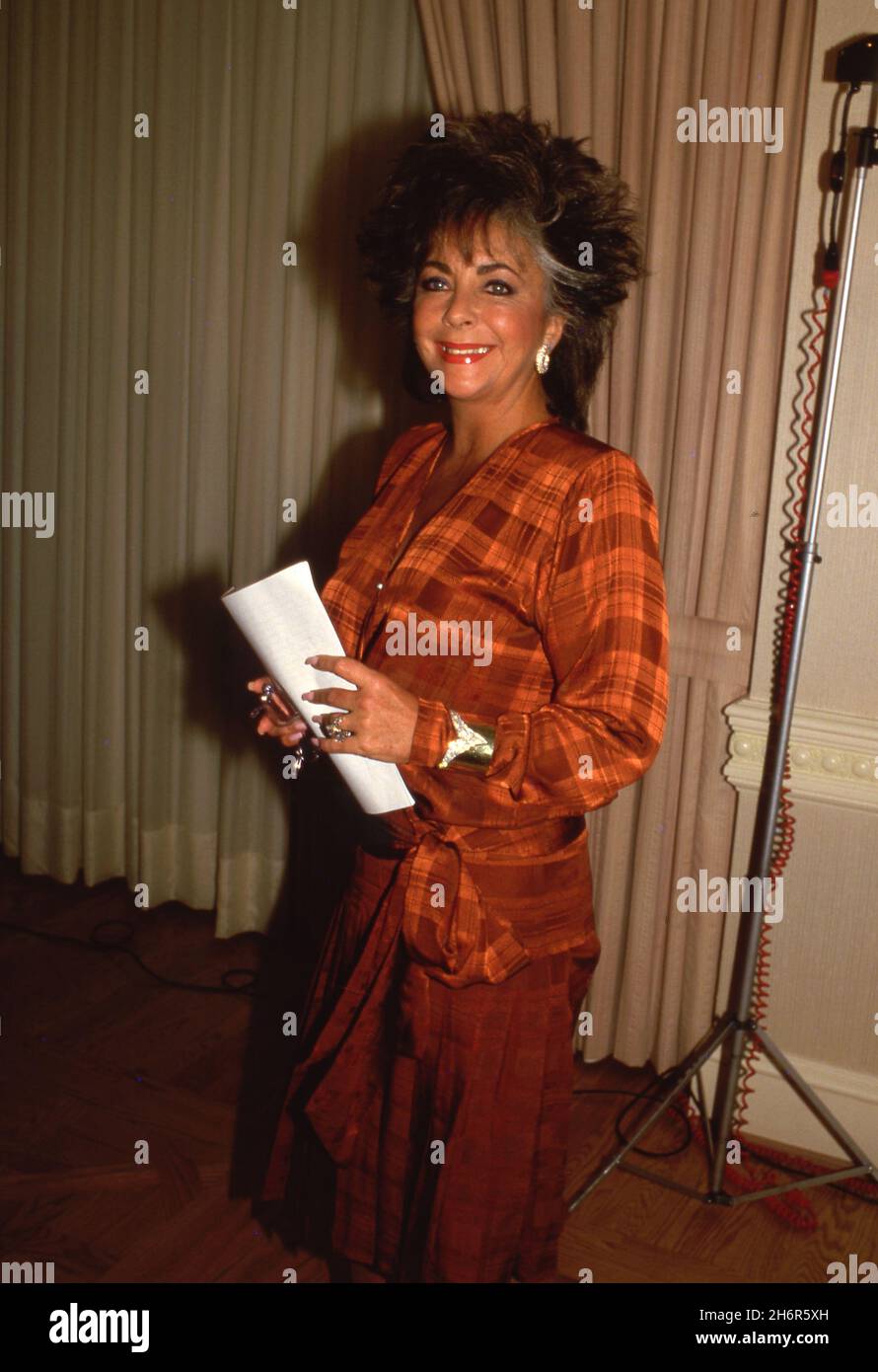 Elizabeth Taylor 1985 Credit: Ralph Dominguez/MediaPunch Stock Photo ...