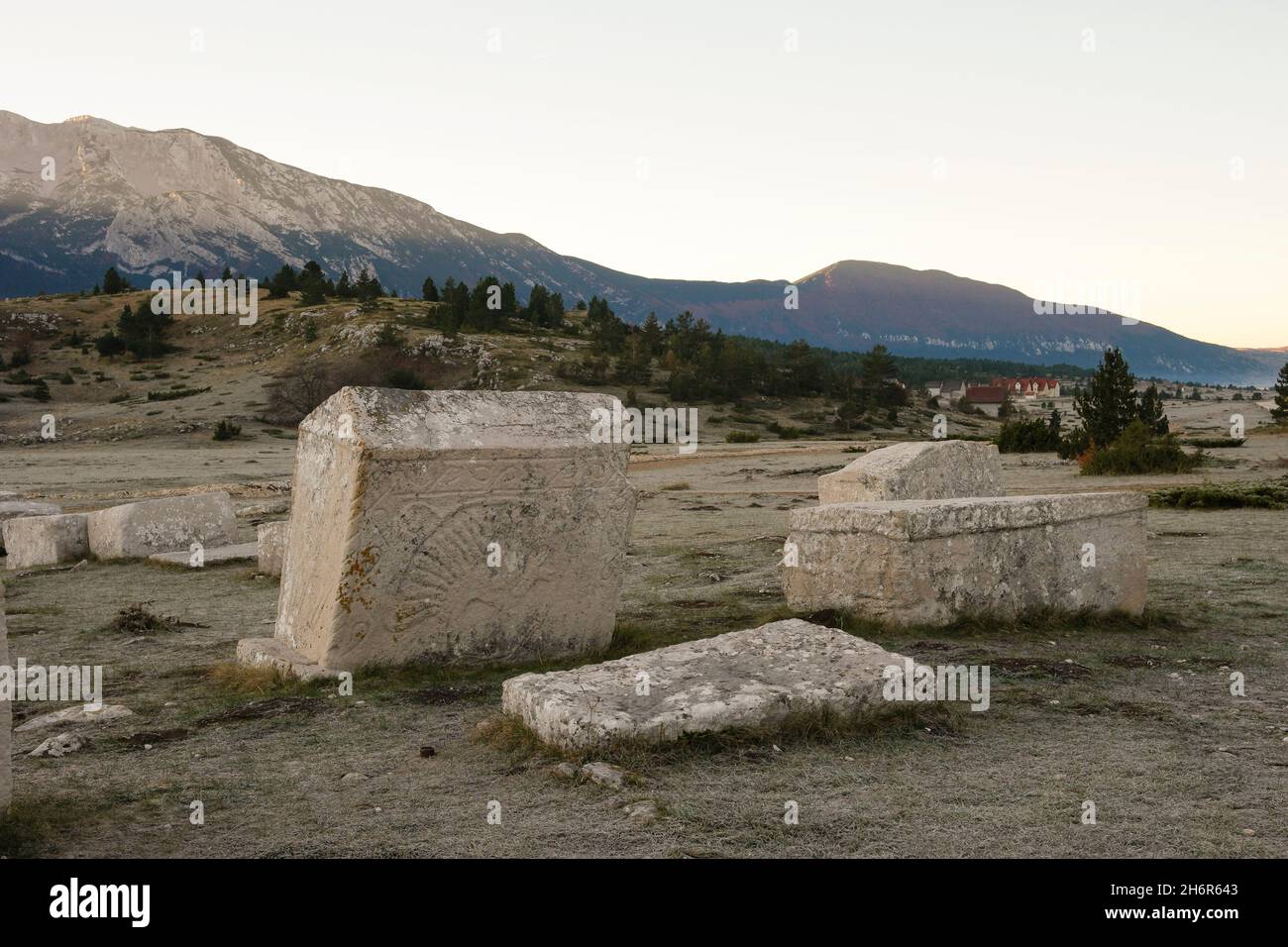 Decorated Stećci (medieval tombstones) of world cultural heritage site ...