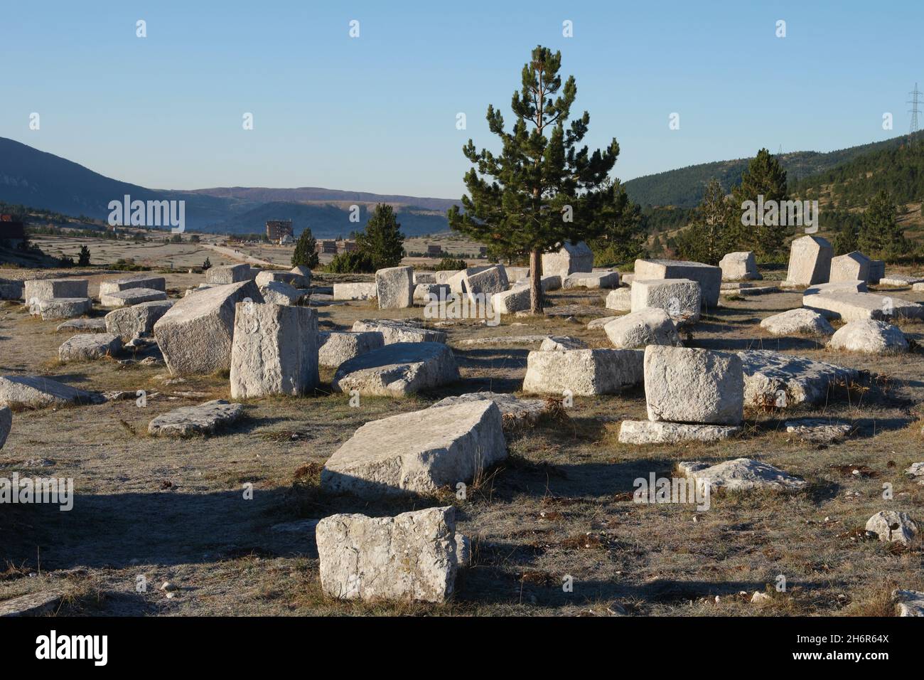 Decorated Stećci (medieval tombstones) of world cultural heritage site ...