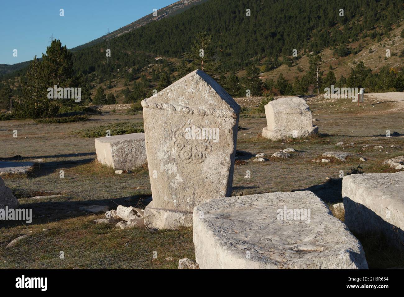 Decorated Stećci (medieval tombstones) of world cultural heritage site ...