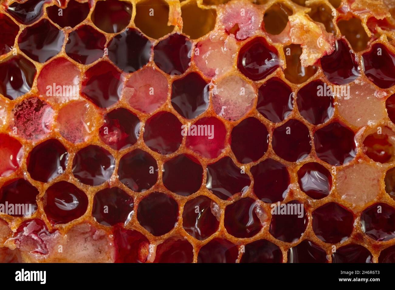 red honey and honeycomb, macro shot Stock Photo - Alamy