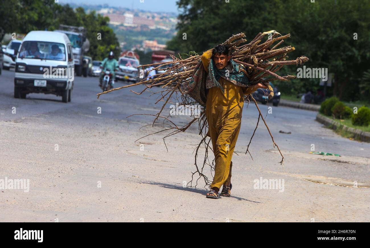 Rawalpindi, Pakistan A man is carrying dry wood to light a fire in his ...
