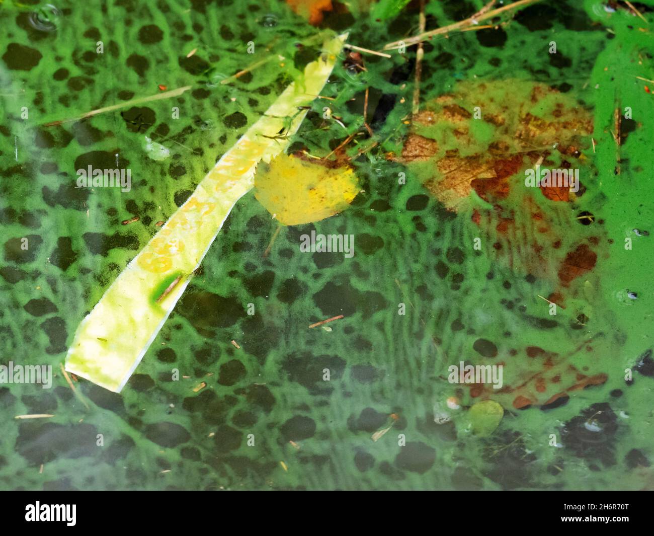 Windermere warmer hi-res stock photography and images - Alamy