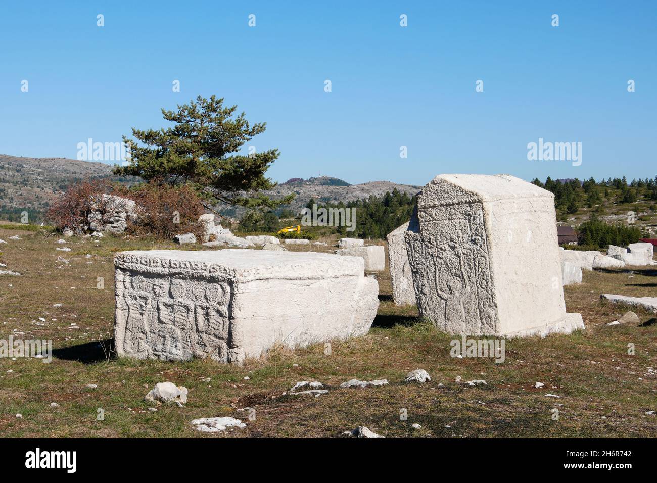 Decorated Stećci (medieval tombstones) of world cultural heritage site ...