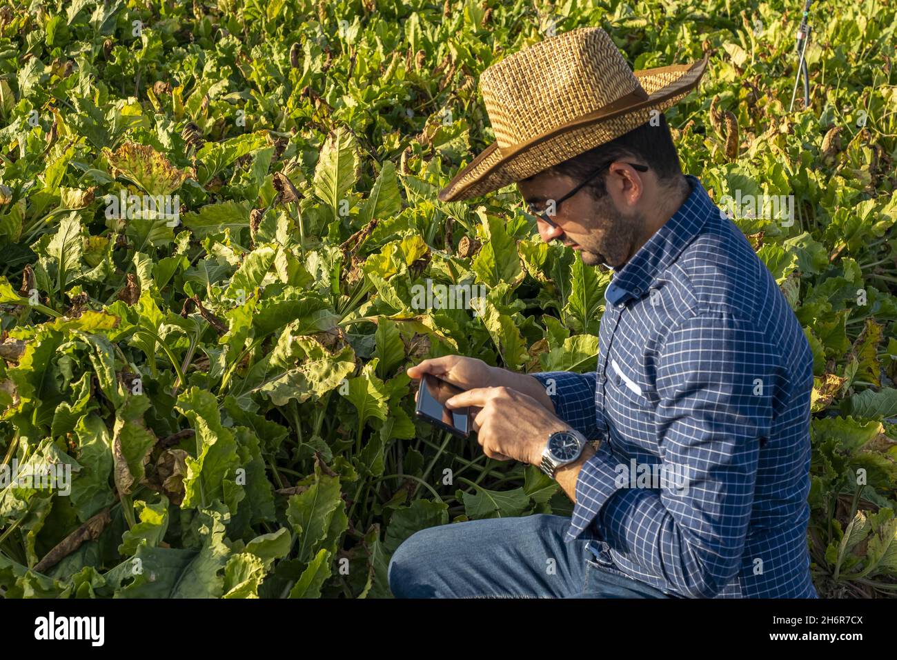 Caucasian farmer in a hat using modern technology in agriculture. smart ...
