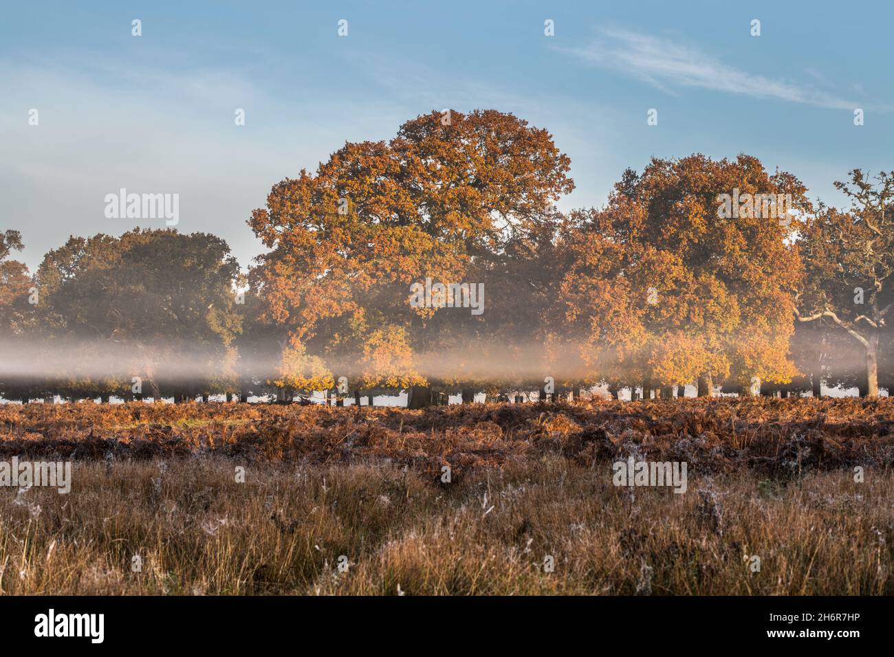 Few feet above ground hi-res stock photography and images - Alamy