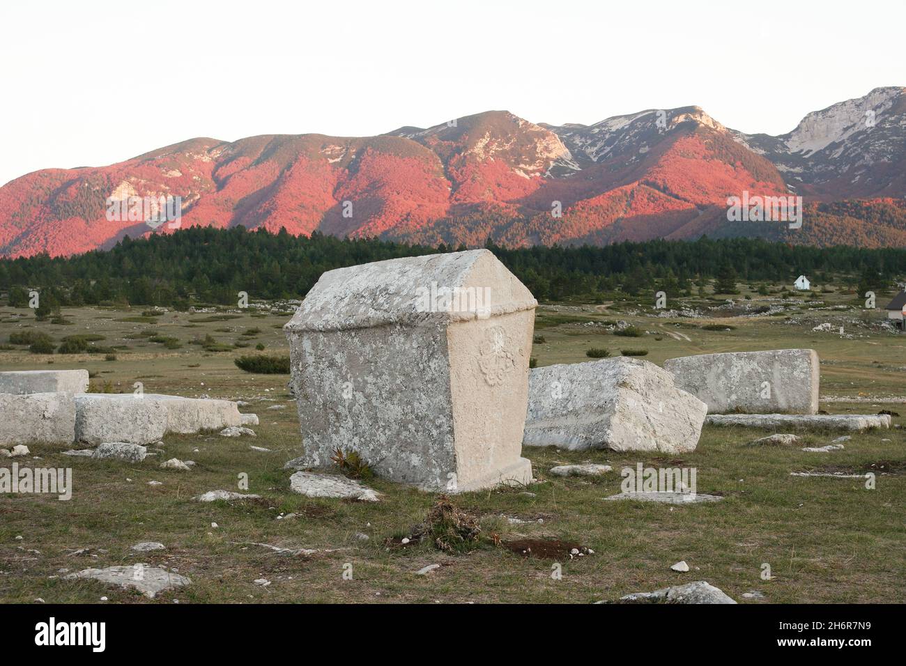Decorated Stećci (medieval tombstones) of world cultural heritage site ...