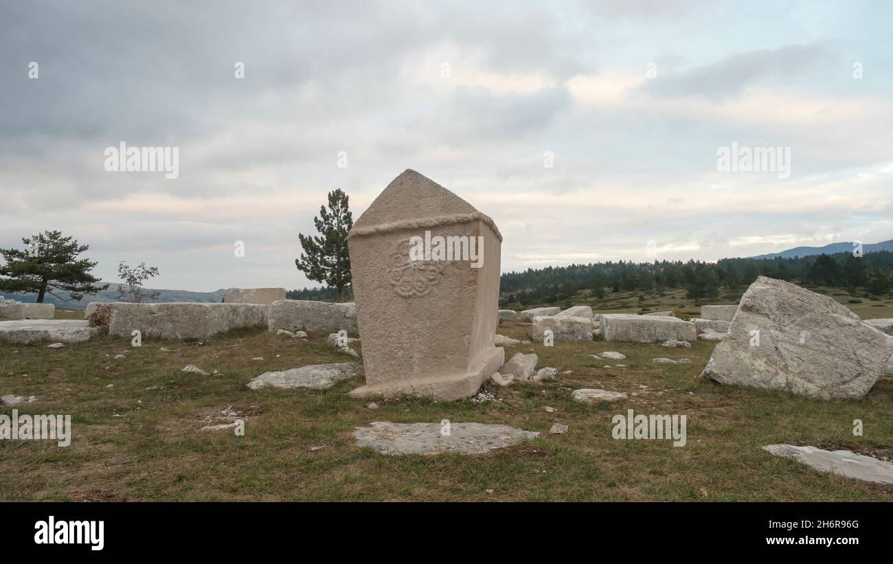 Decorated Stećci (medieval tombstones) of world cultural heritage site ...