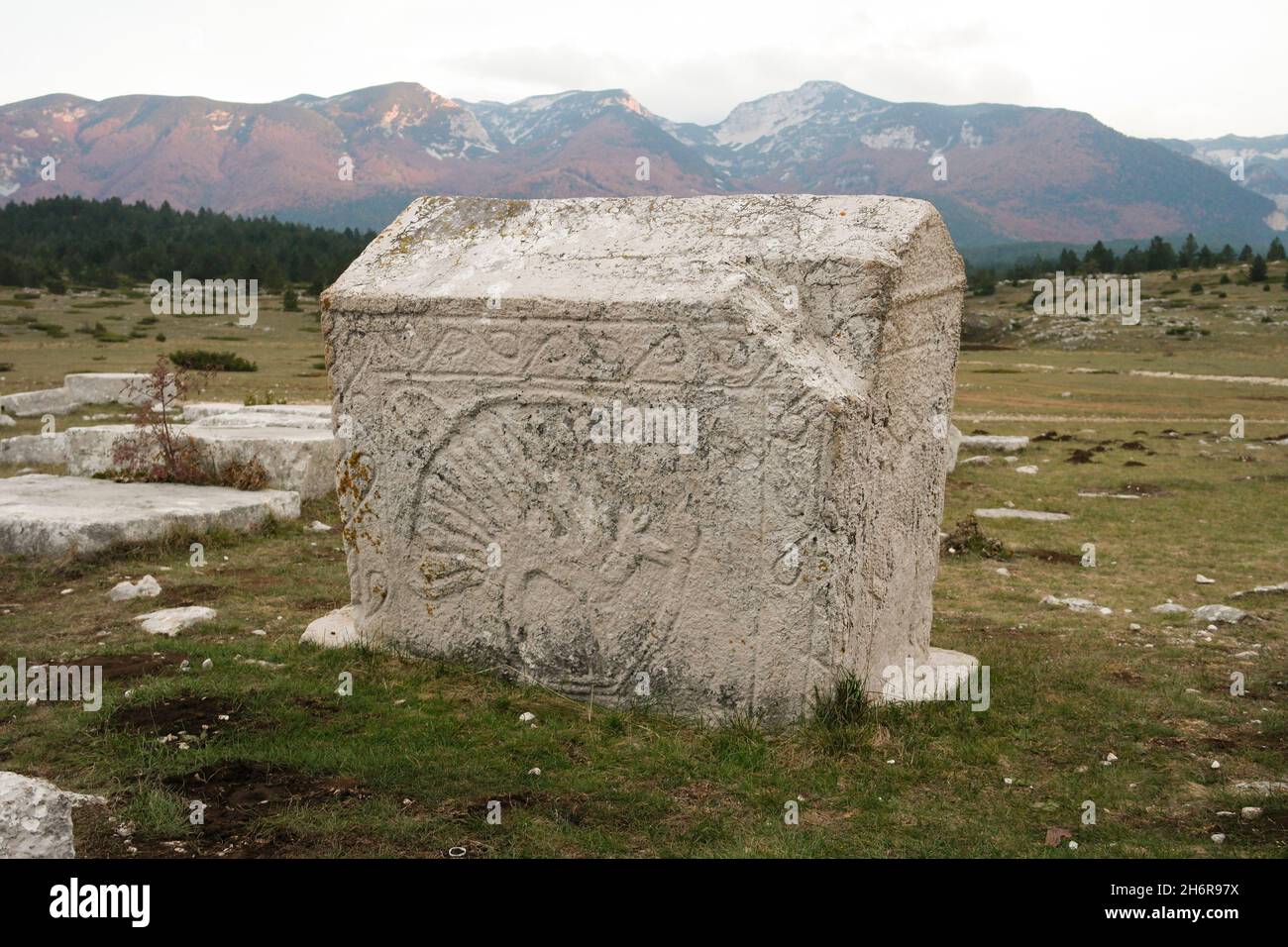 Decorated Stećci (medieval tombstones) of world cultural heritage site ...