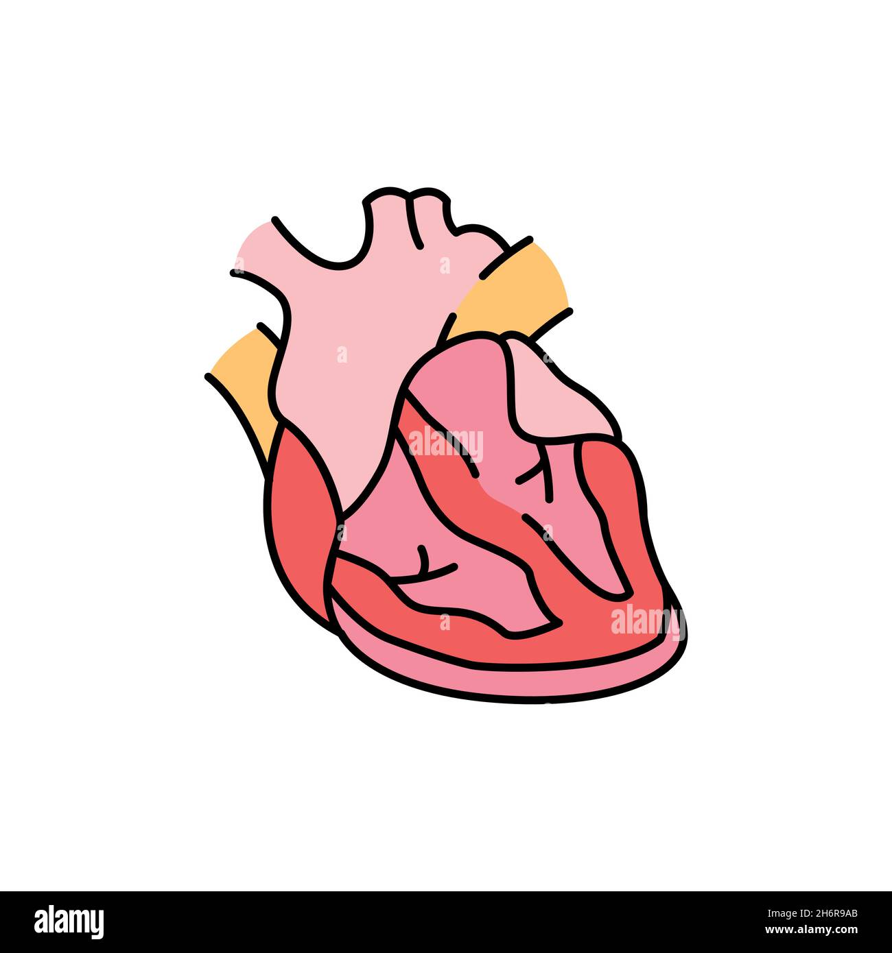 Myocarditis color line icon. Human diseases. Pictogram for web page ...