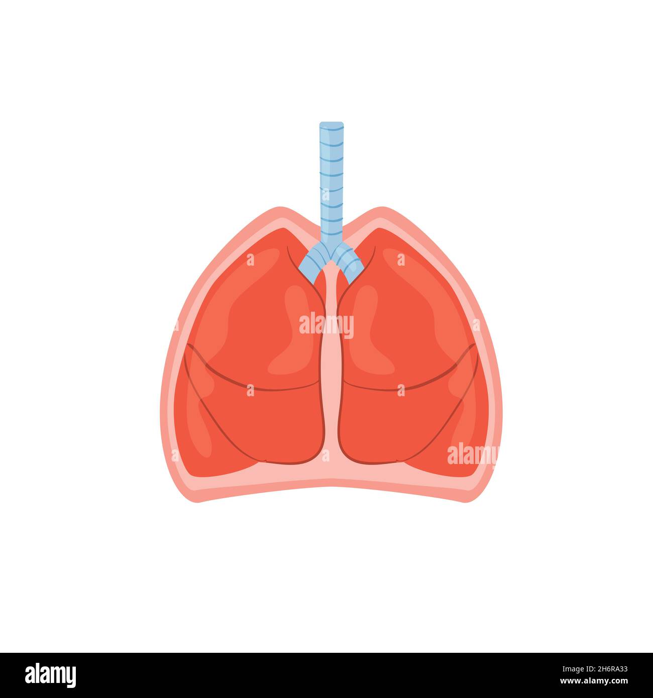 Flat cartoon person lungs,medical treatment and therapy,human anatomy ...