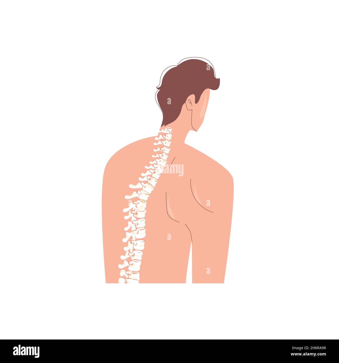 Flat cartoon person spine,human skeleton anatomy,educational material ...