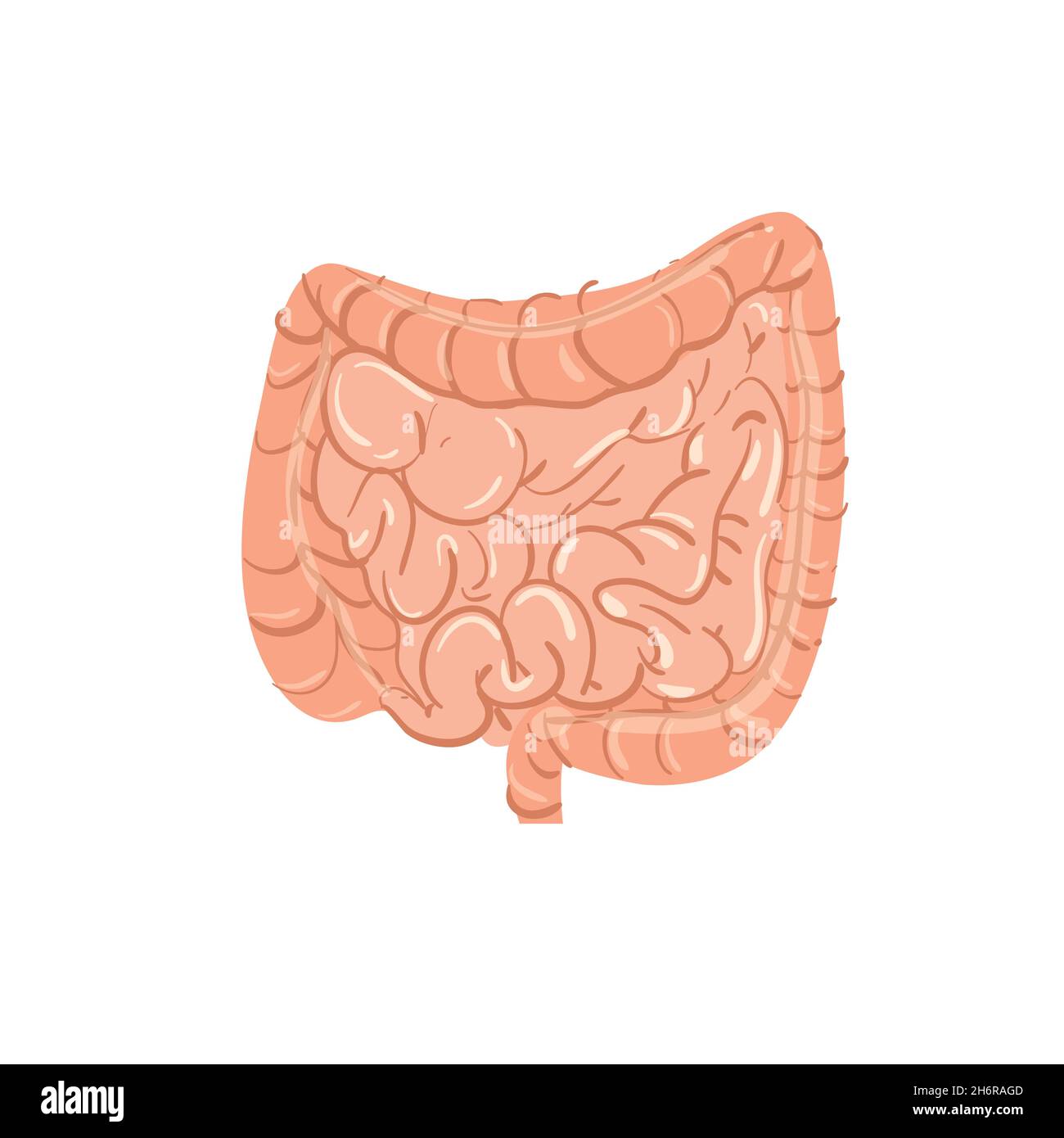 Flat cartoon person intestines,medical treatment and therapy,human ...
