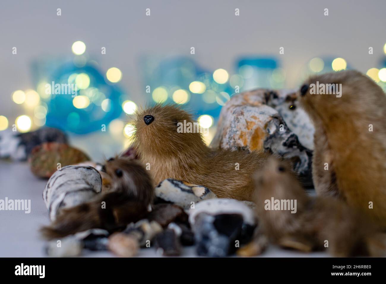 seal family made of fur draped Stock Photo - Alamy