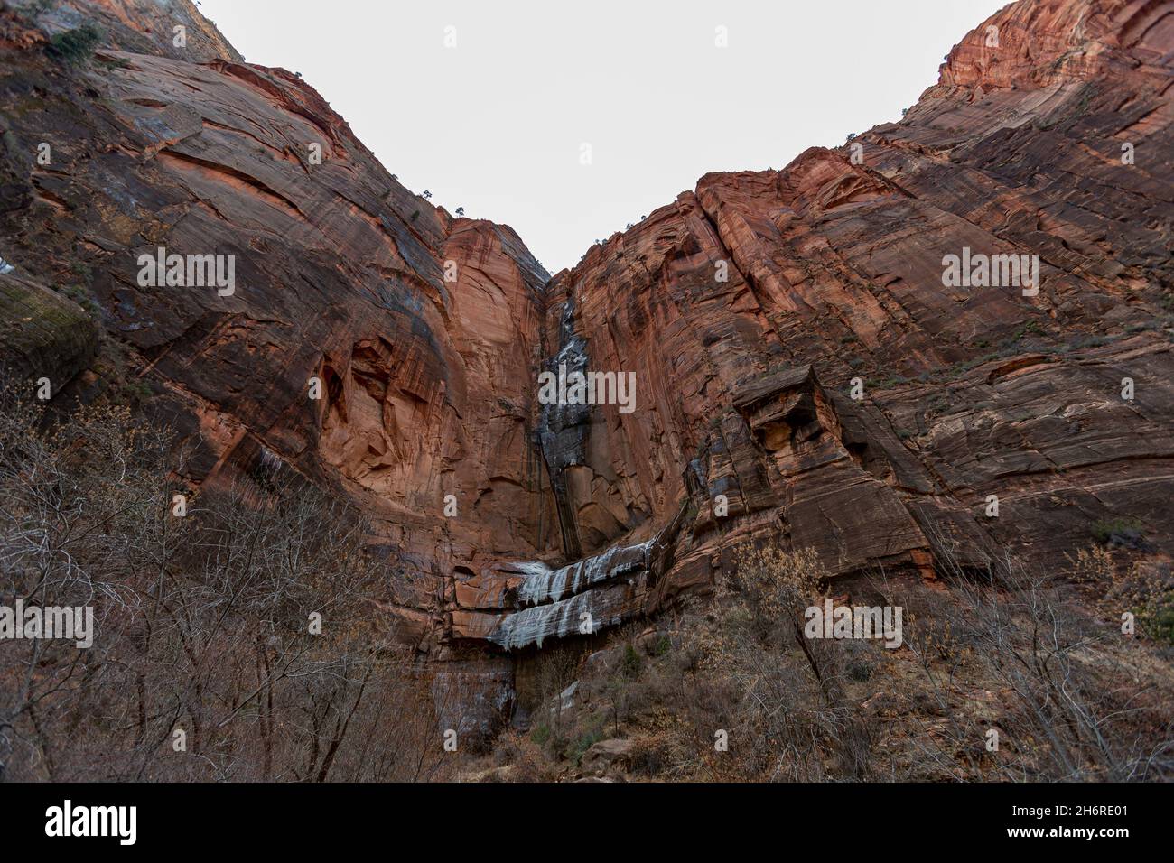 Sandstone cliffs and features at Zion National Park Stock Photo - Alamy