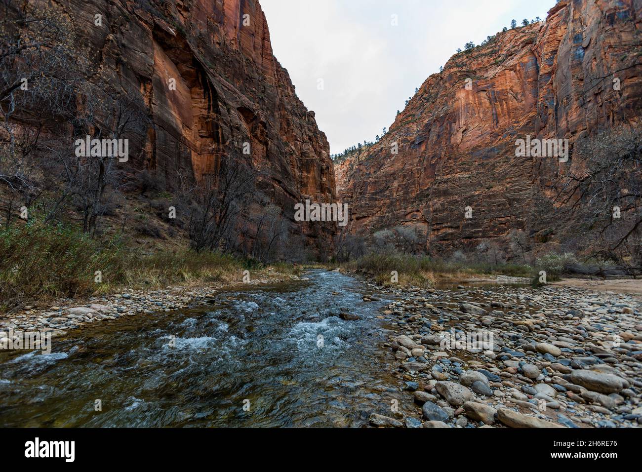 Sandstone cliffs and features at Zion National Park Stock Photo - Alamy
