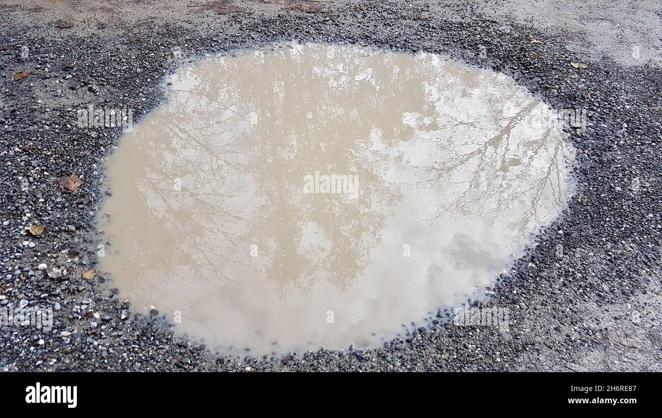 Muddy puddle on gravel road with reflection of trees Stock Photo - Alamy