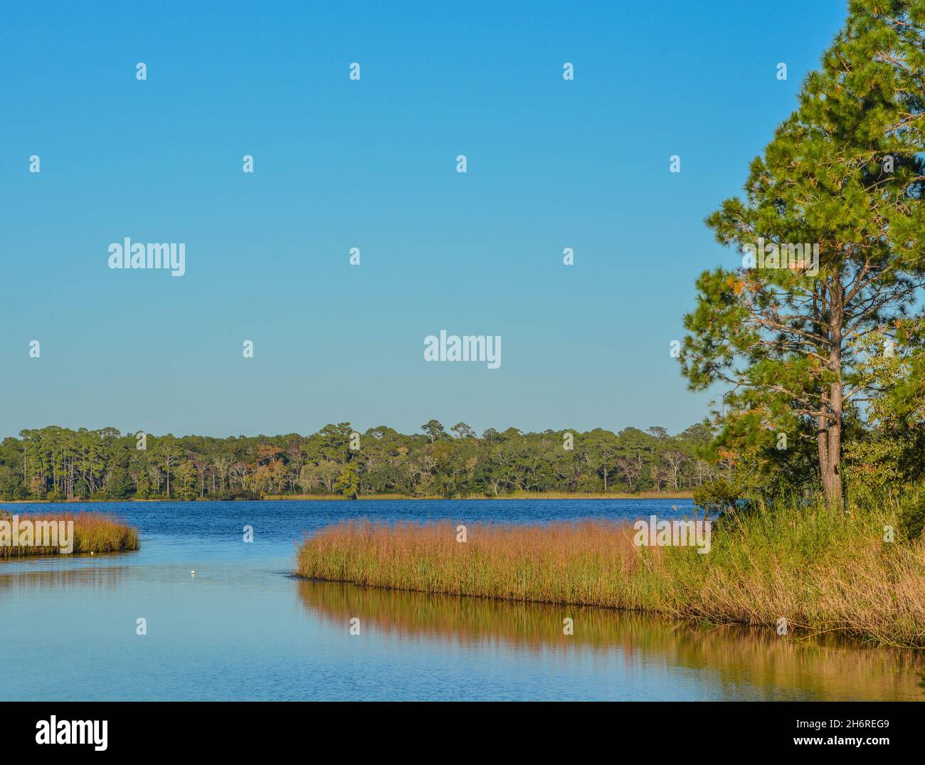 Basin Bayou in Freeport, Walton County, Florida Stock Photo - Alamy