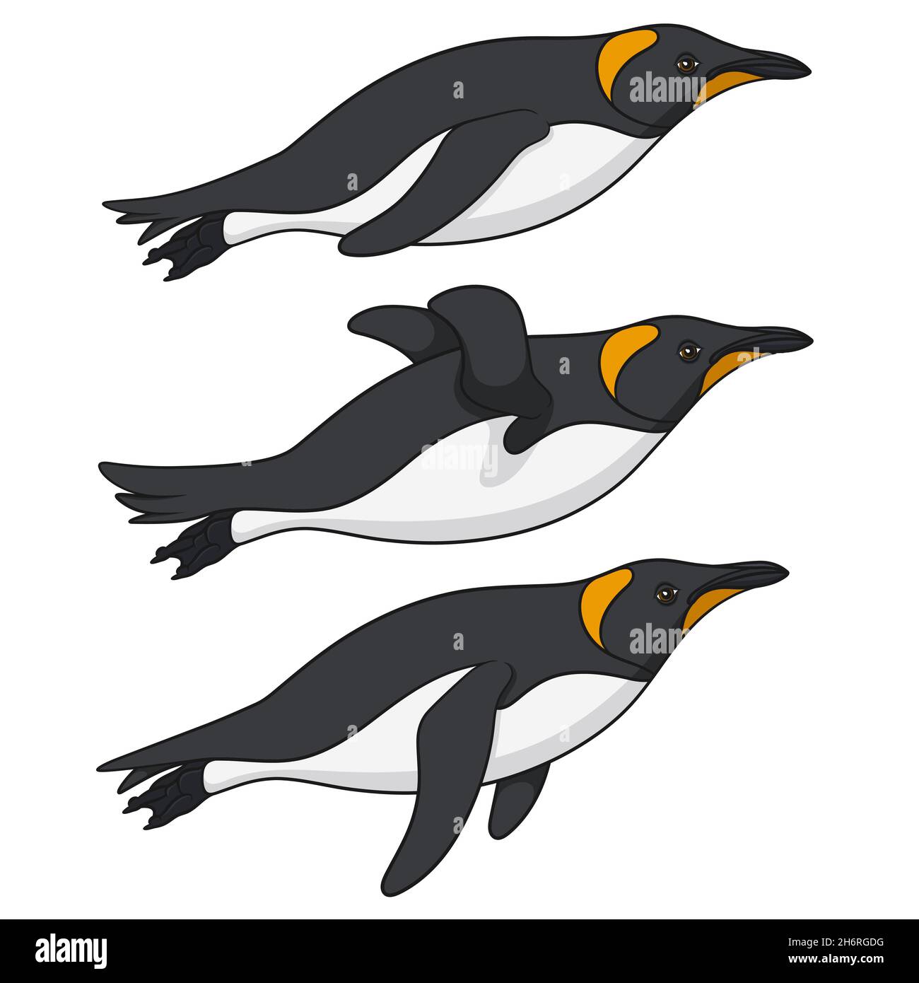 Set of color illustrations with penguins swimming in the water ...