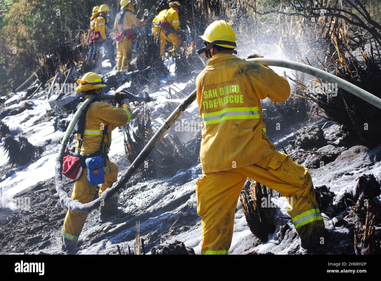 Grass Fire Firefighting Foam