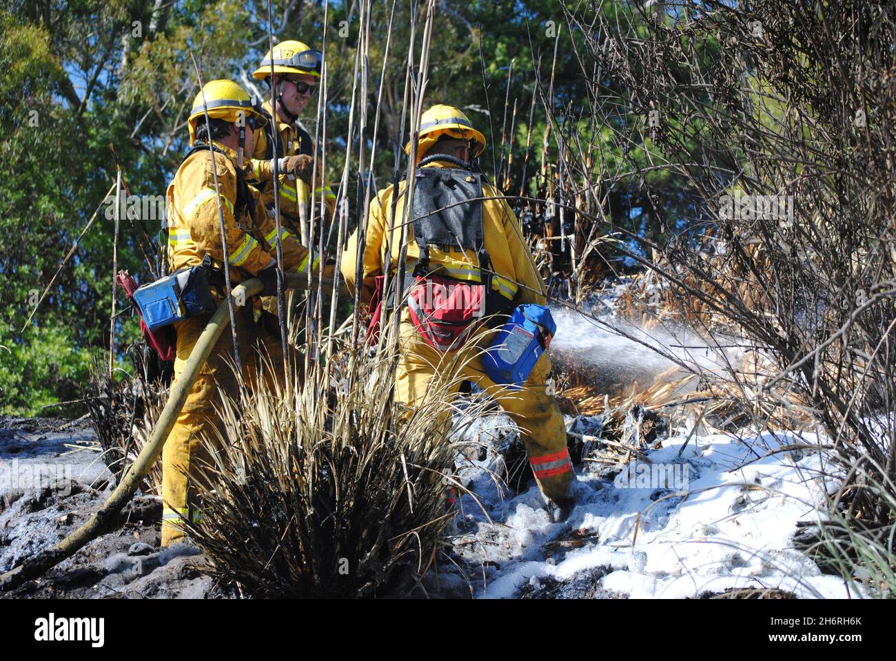Grass Fire Firefighting Foam