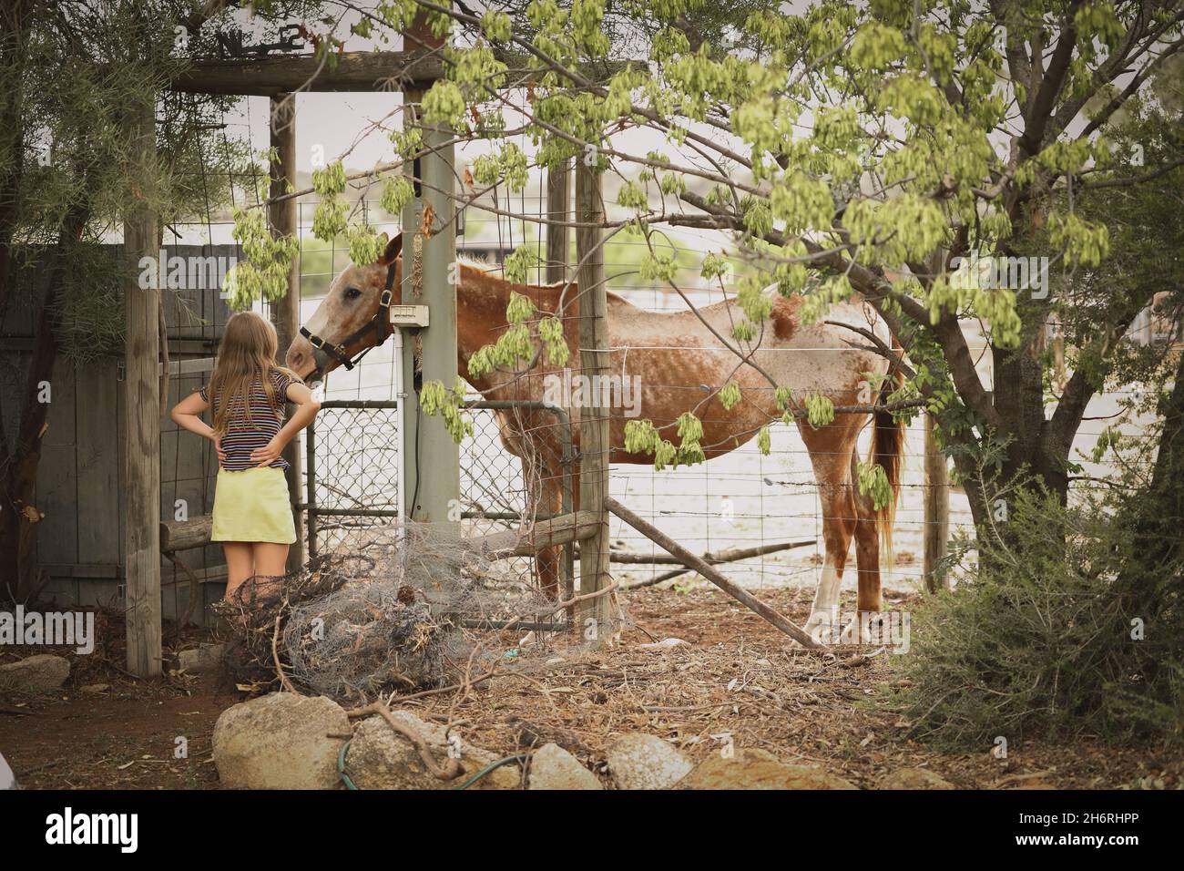 Children Patting Animal High Resolution Stock Photography and Images ...