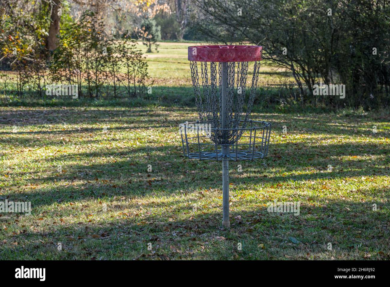 Closeup view of a empty golf disc basket in the shade surrounded by ...