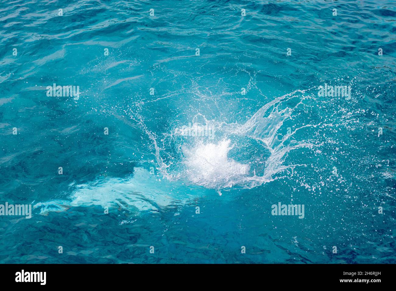 Splashes of blue, sea water with foam bubbles. A splash of nature on a ...