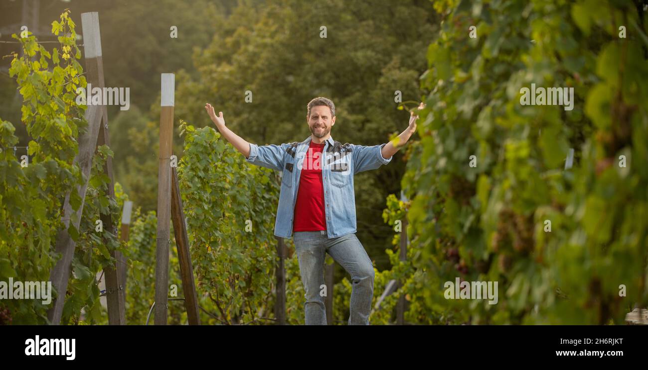 happy vineyard owner presenting his winery with grape harvest ...