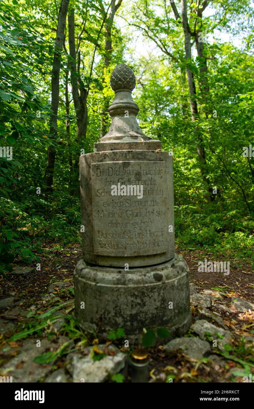 Vertical shot of an old gravestone in a park covered in greenery under ...