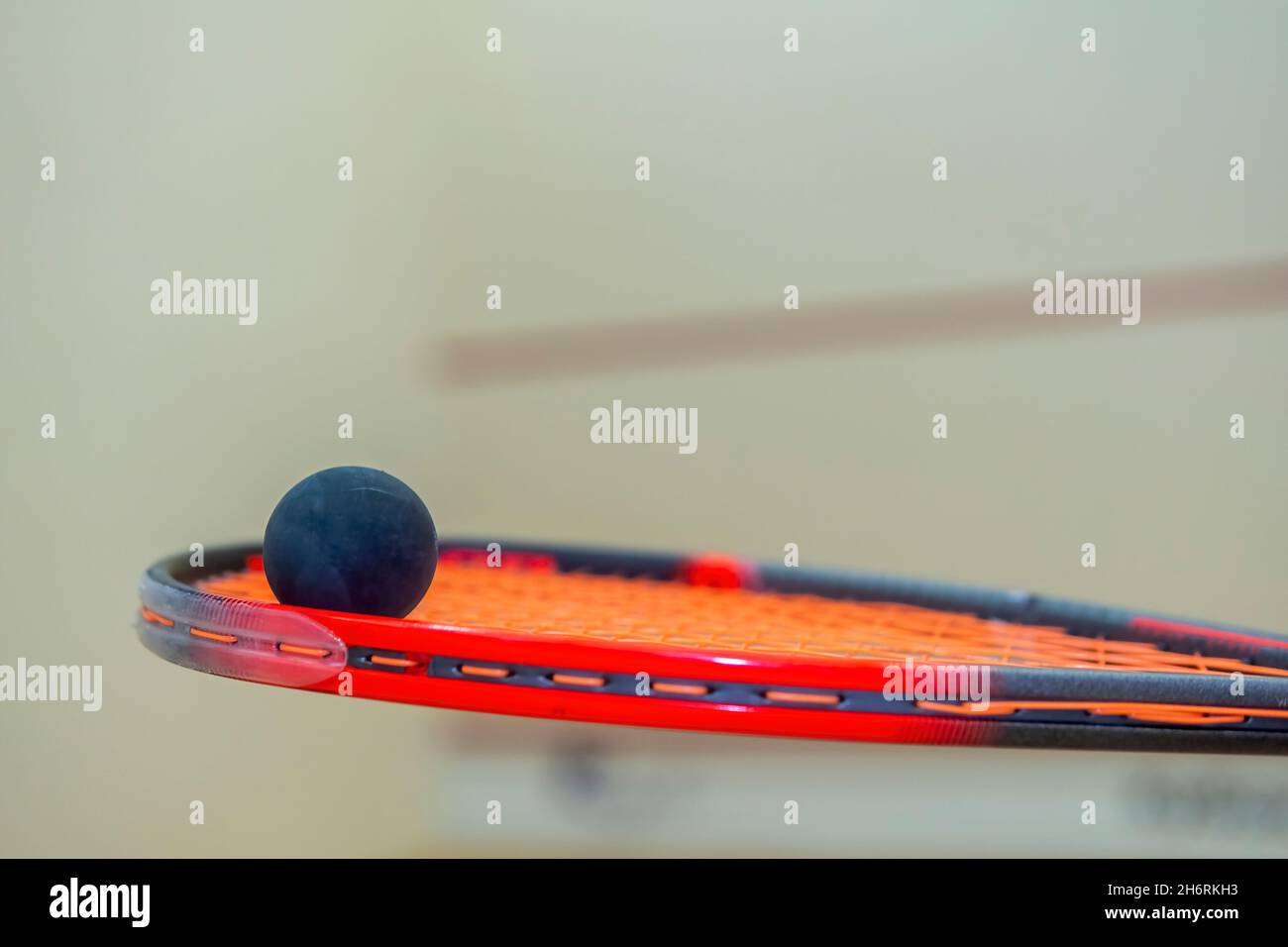 black ball for squash game lies racket. close-up partial focus Stock ...