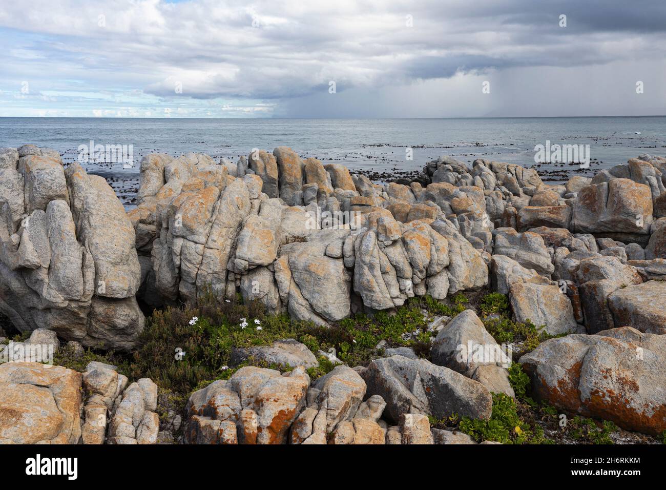 Rocky jagged coastline, eroded sandstone rock, view out to the ocean ...