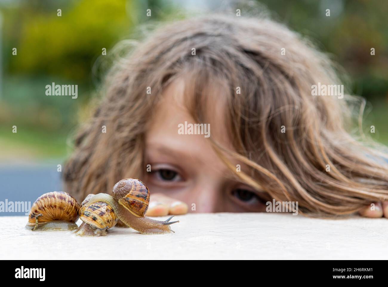 Looking closely at hi-res stock photography and images - Alamy