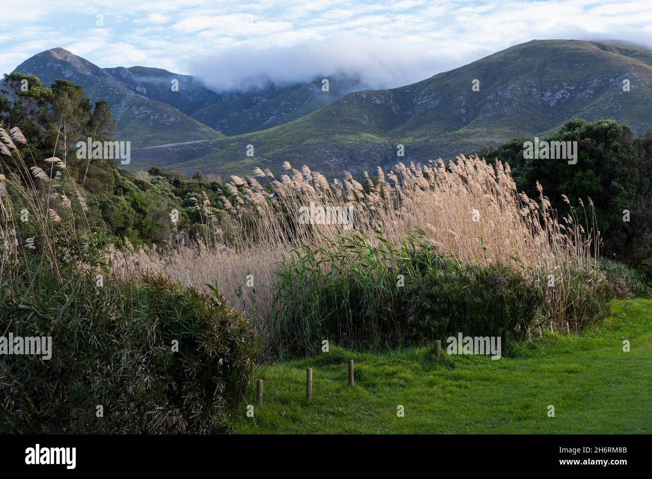 Landscape in a flat plain and view to the Klein mountains Stock Photo ...