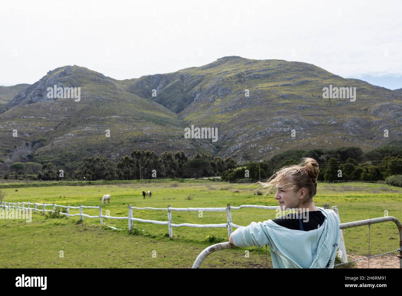 teenage girl looking at horses, Stanford, South Africa Stock Photo - Alamy teenage girl looking at horses, Stanford, South Africa Stock Photo - Alamy