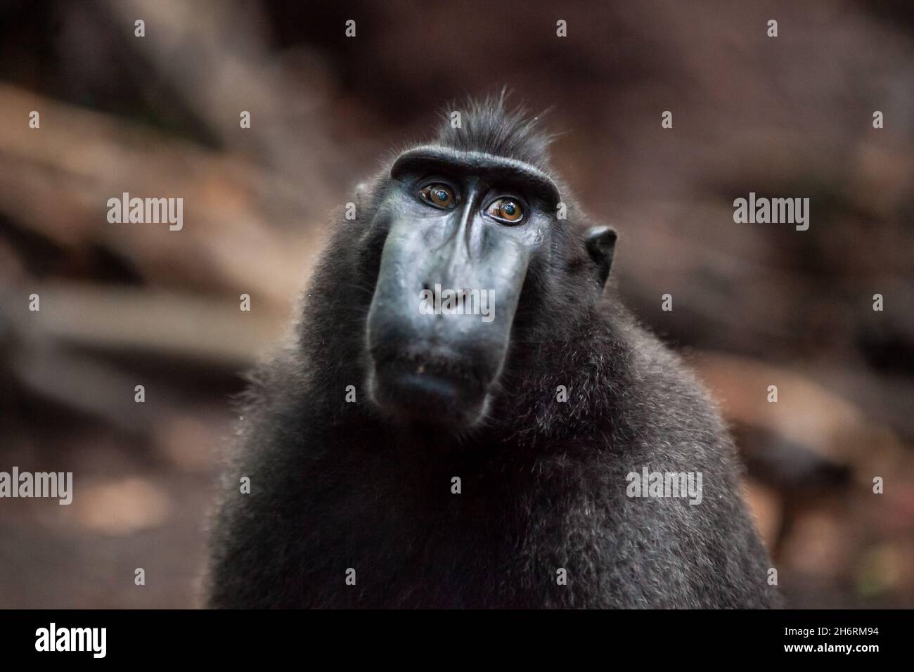 Takngkoko national park hi-res stock photography and images - Alamy