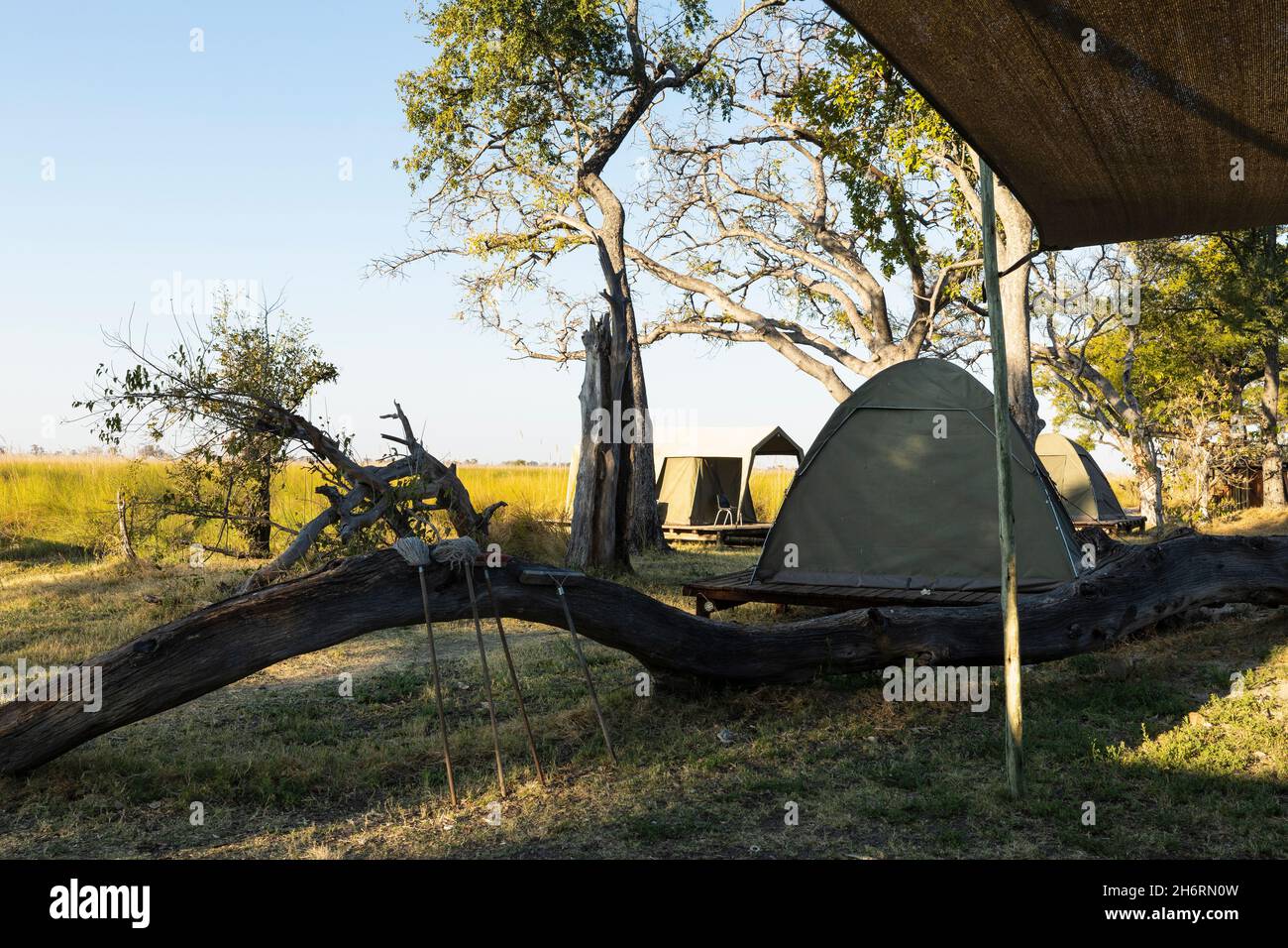 A group of small tents in the shade of trees, a permanent camp Stock ...
