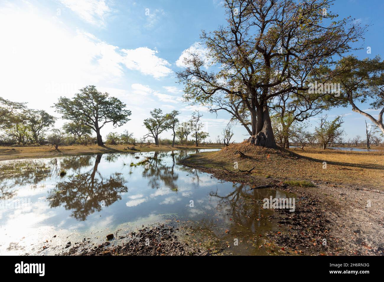 A narrow waterway in the open space of the Okavango Delta Stock Photo ...