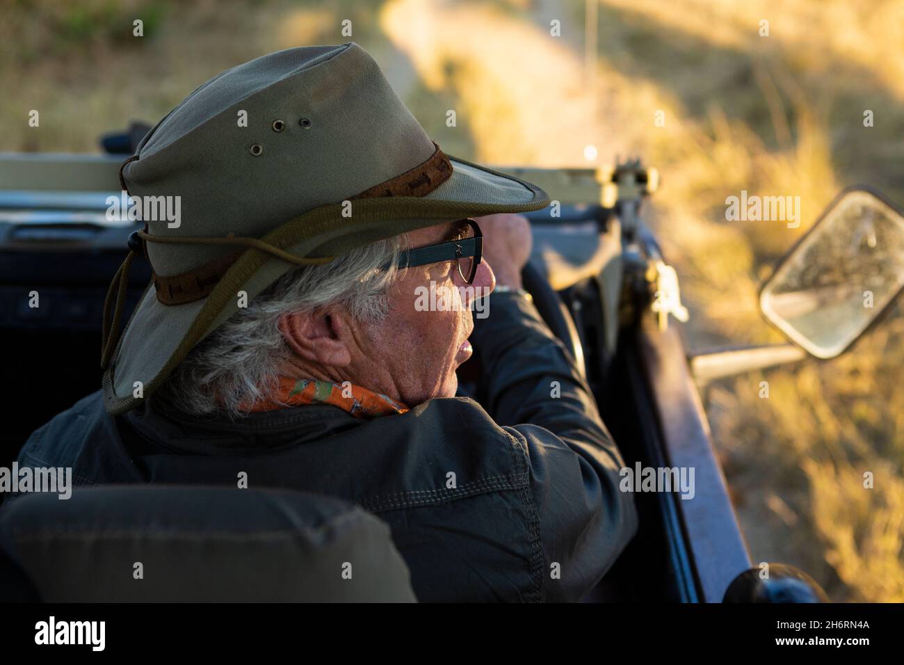 A safari guide in a bush hat at the wheel of a jeep Stock Photo - Alamy
