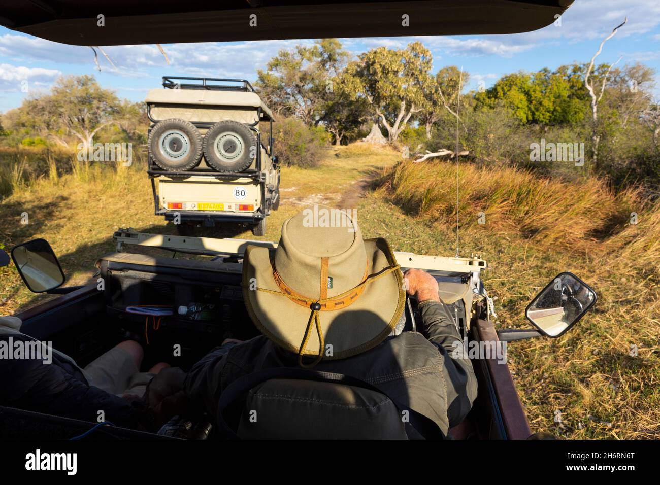 A safari guide in a bush hat at the wheel of a jeep Stock Photo - Alamy