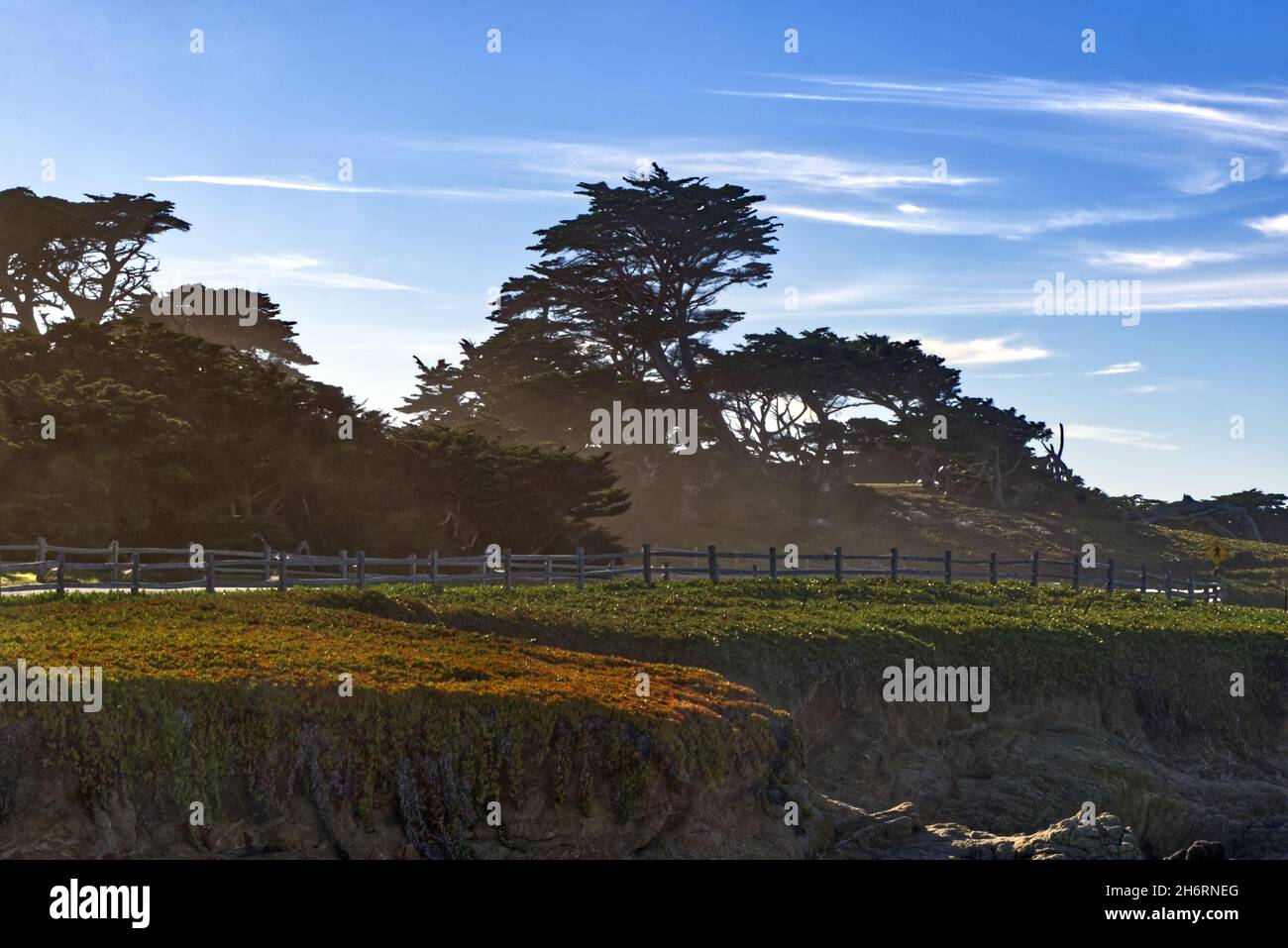 Cypress point central coast hi-res stock photography and images - Alamy